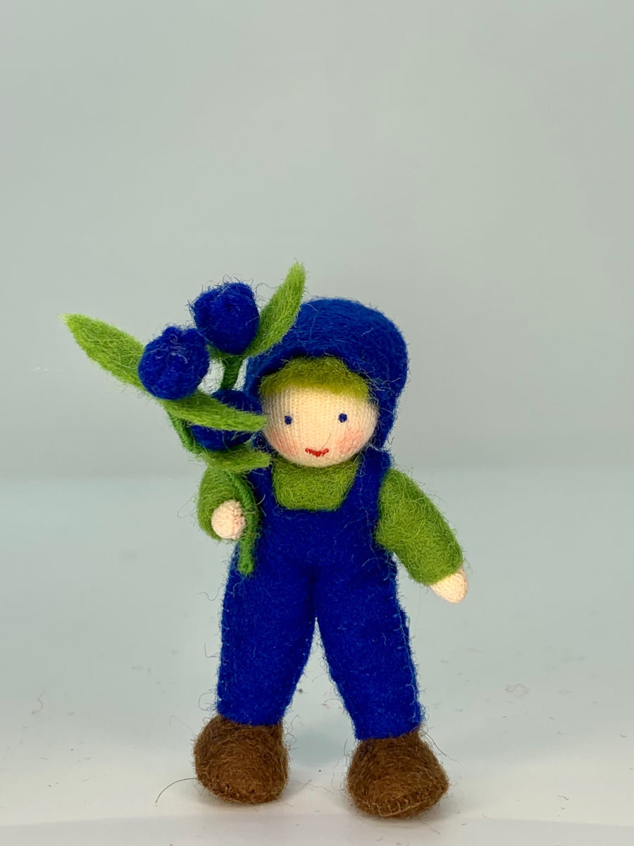 Ambrosius blueberry boy – Magic Forest Shop